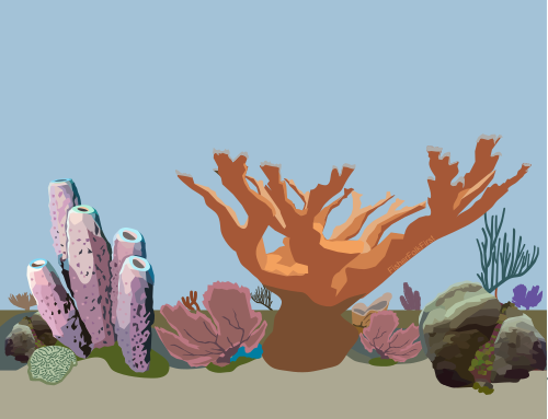 tci regs habitats – FisherFolkFirst